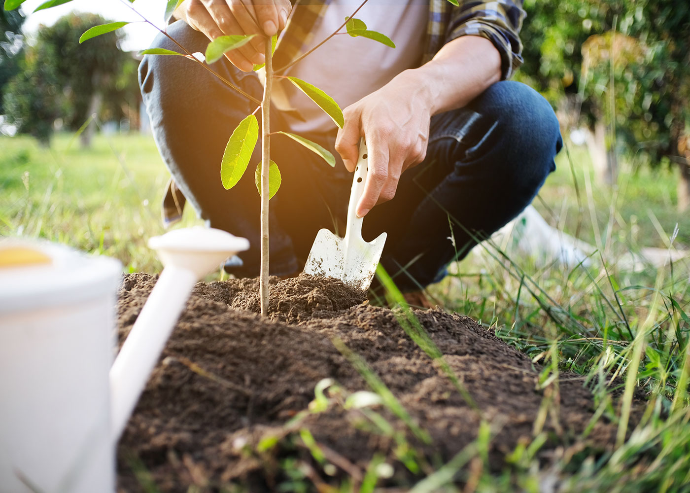 Tous les guides pour avoir le pouce vert! - Les moments Renaud-Bray