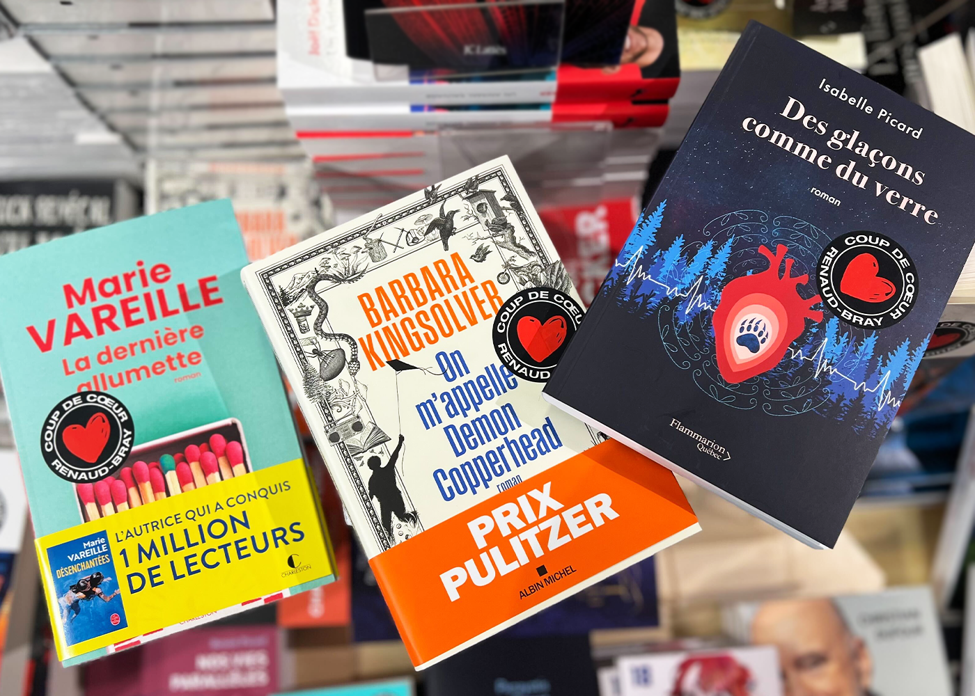 Des livres coups de cœur pour le printemps! - Les moments Renaud-Bray